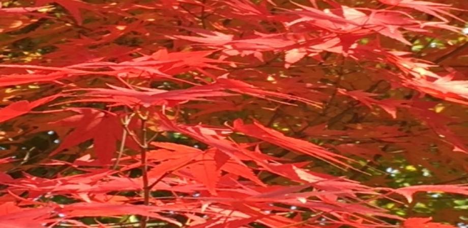 ビジネスアーキテクチャ勉強会2023 #4 | Peatix