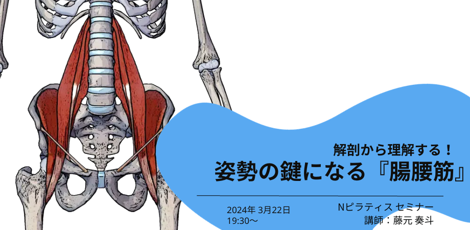 解剖から理解する！姿勢の鍵になる「腸腰筋」 | Peatix