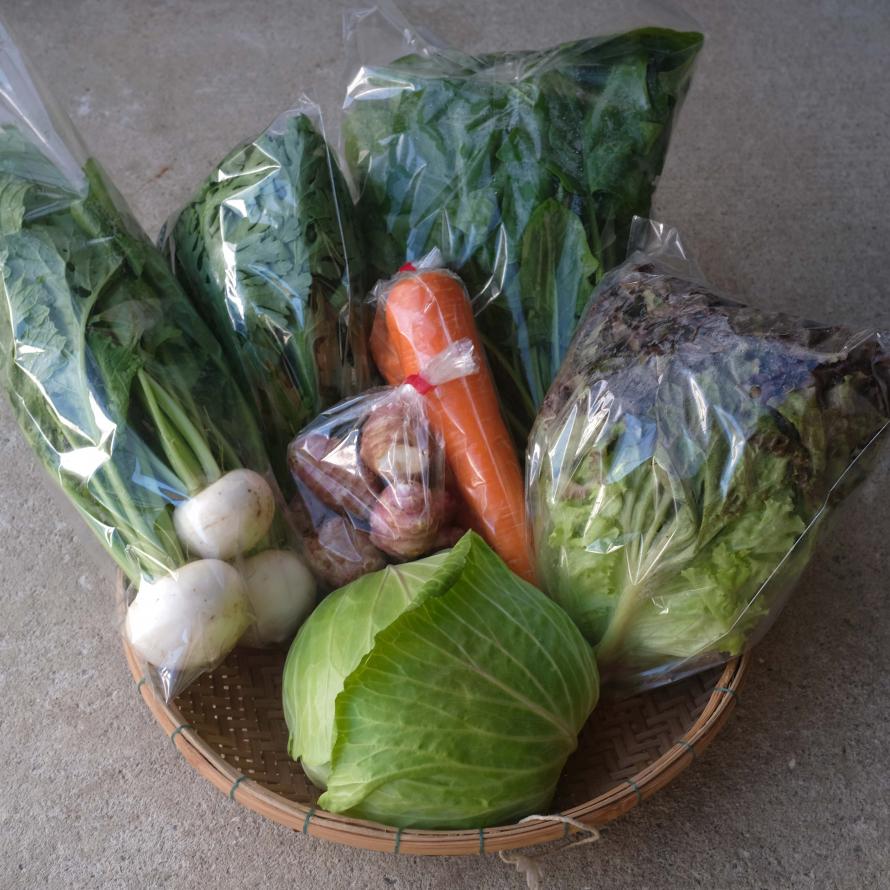 23年第8回 My LFC ファーマー【半年コース】 | Peatix