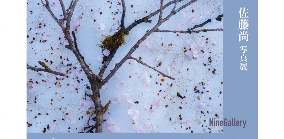 ＜2024年1月16日(火)東京青山＞･風景写真家佐藤尚写真展「nukumori」ギャラリートーク【Nine Gallery】 | Peatix