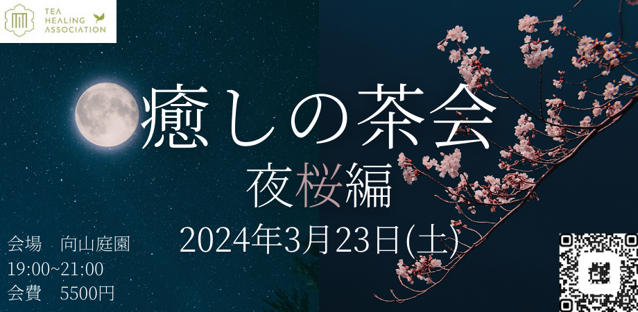 茶道初心者歓迎！癒しの茶会 〜夜桜 x 茶の湯 de マインドフルネス〜 | Peatix