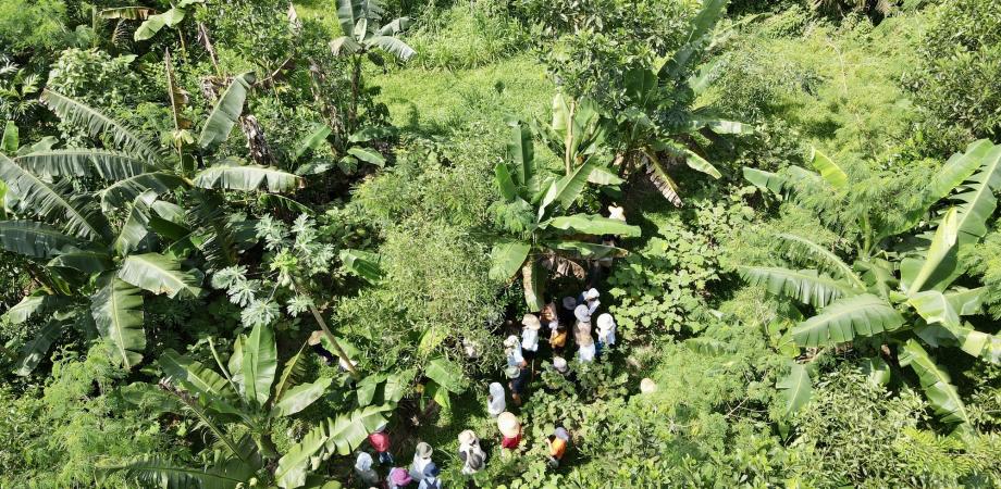 Open Farm Day | Peatix