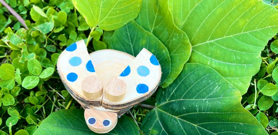 【1/14sun】丸太でてんとう虫をつくろう | Peatix