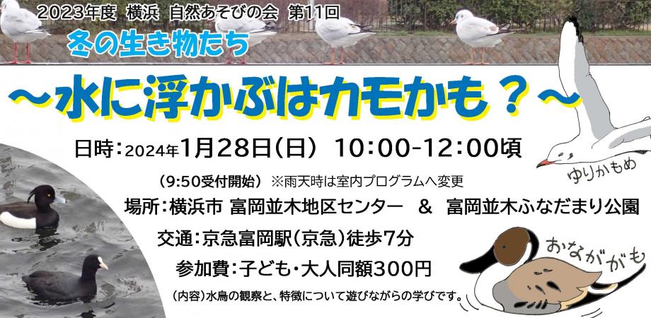 冬の生き物たち～水に浮かぶはカモかも？～ | Peatix