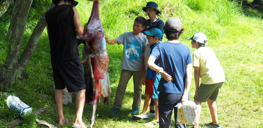 第3回山の学校 #11 | Peatix