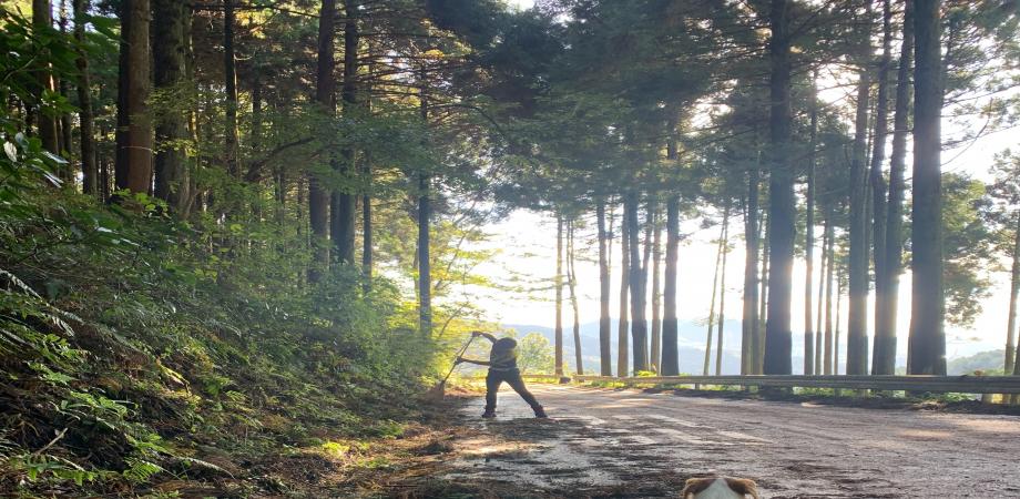 ヤビツお弁当の会 2024.1.20 | Peatix