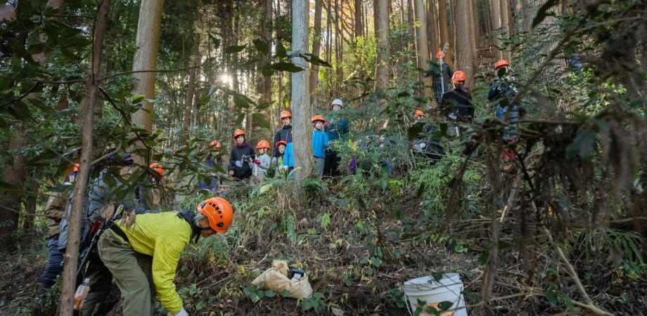 奥多摩DIY（Do Innovation Yourself） #3 | Peatix