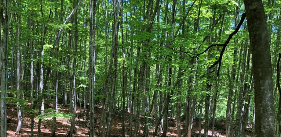 株式会社スタジオペガサス #2 | Peatix