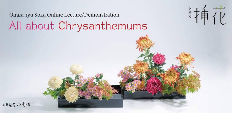 Ohara-ryu Soka Online Lecture/Demonstration "All about Chrysanthemums" | Peatix