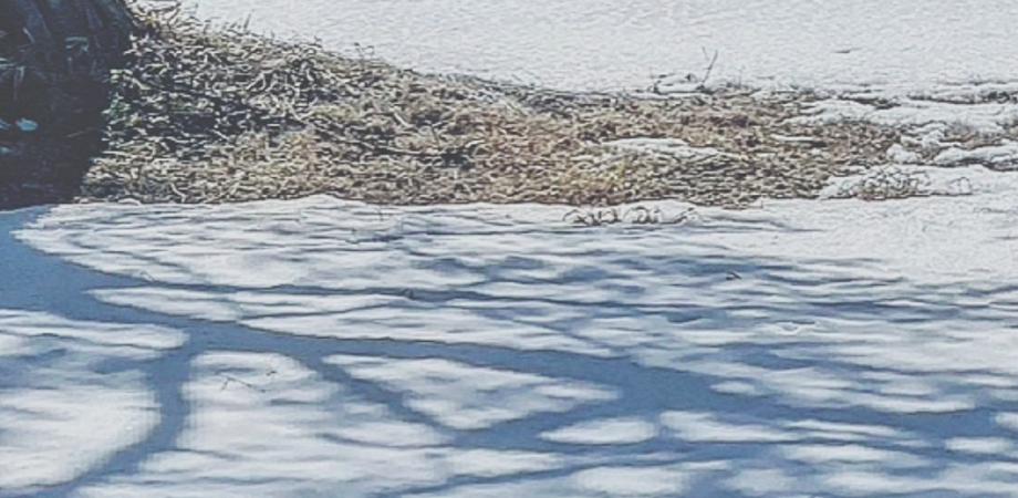 組香会 「二月の香とチョコレート」（2月13日） | Peatix