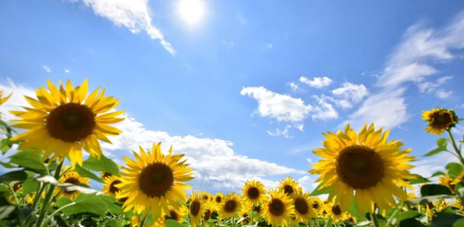 3/12(火)願望拡大ワークショップ | Peatix