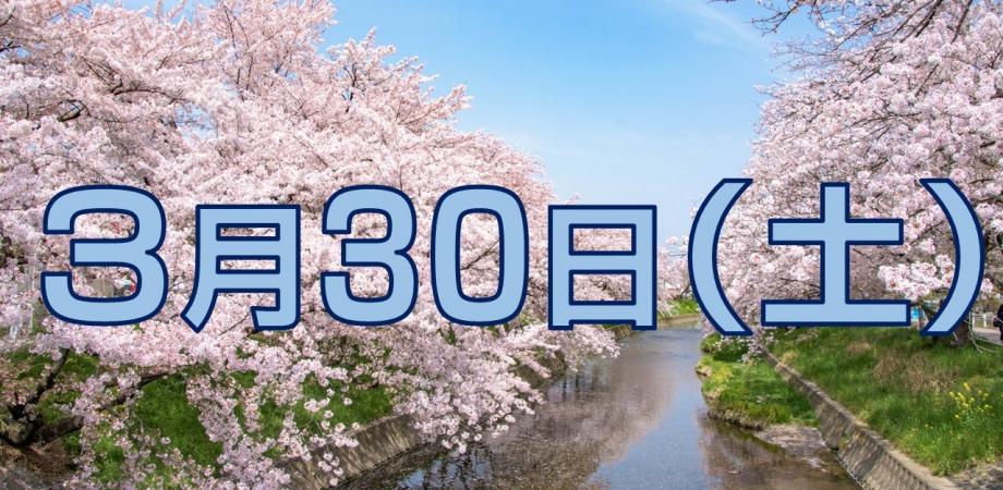 【岩倉桜まつり】臨時駐車場予約（3月30日分） | Peatix