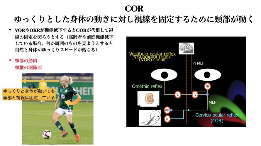 ヘッドコントロール 〜姿勢制御の基礎〜 | Peatix