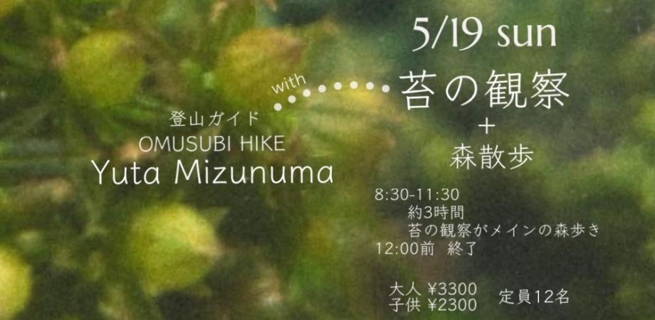 【5/19 日】苔観察+初夏の森散歩｜Ayauta Forest Land｜workshop2024#2｜ | Peatix