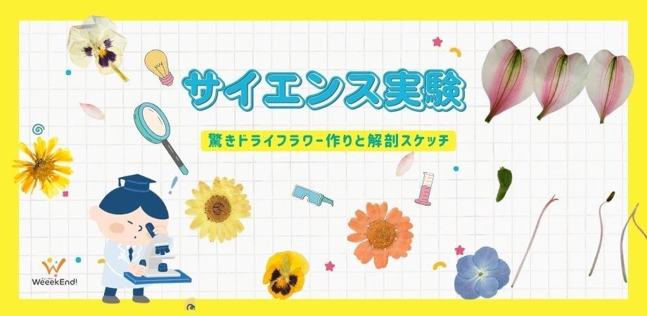 【実験好きな子集まれ！】サイエンス実験～驚きドライフラワー作りと解剖スケッチ (小学生向け) | Peatix