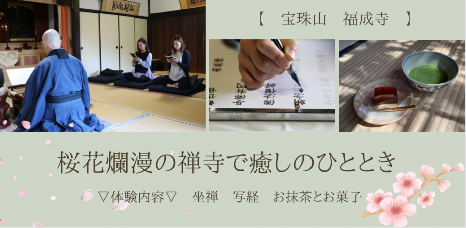 桜花爛漫の禅寺で癒しのひととき | Peatix