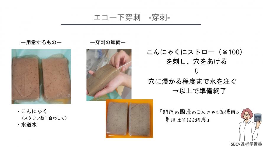 エコー下穿刺マスターへの道 ～120分で苦手意識ZEROに！～ | Peatix