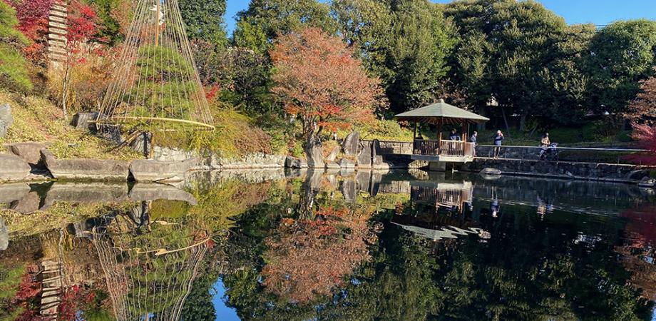 大使と共に英語で楽しむ茶会第12回コロンビア大使館 | Peatix