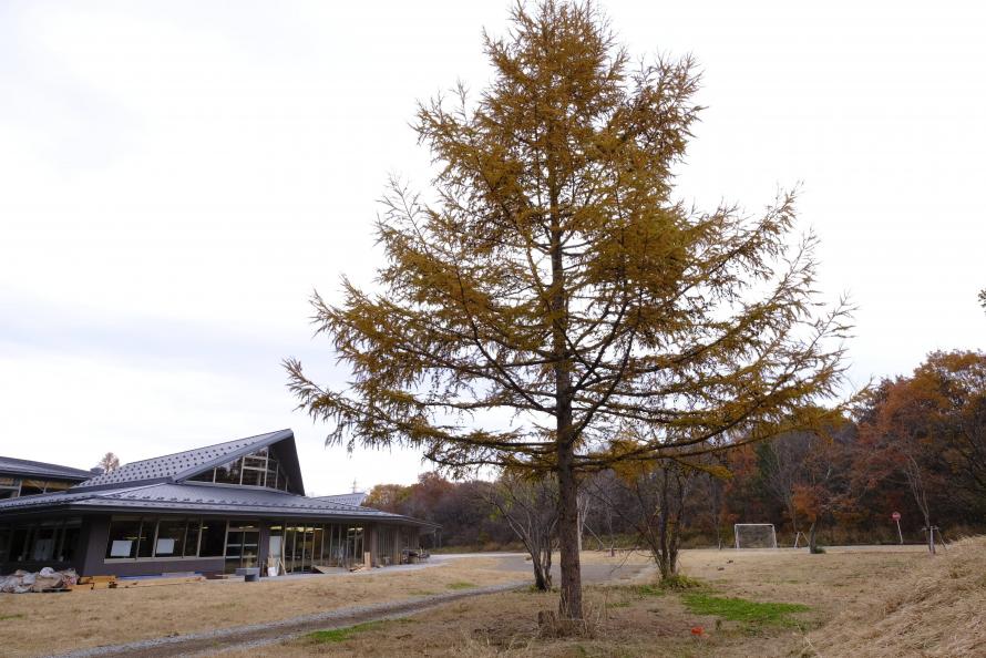 山水郷チャンネル #99 本城 慎之介さん（学校法人軽井沢風越学園 理事長） | Peatix