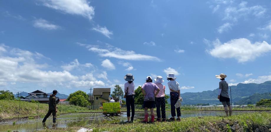 みなみあそ田んぼオーナー2024 Organic Farming Day -南阿蘇の有機を楽しむ | Peatix