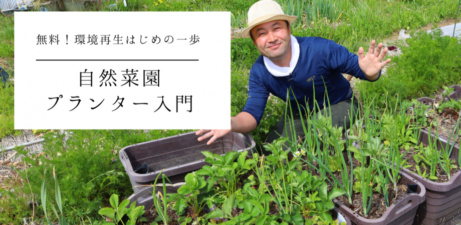 『はじめての自然菜園プランター入門 ～循環するプランターで自家製サラダバーのつくり方～』 | Peatix