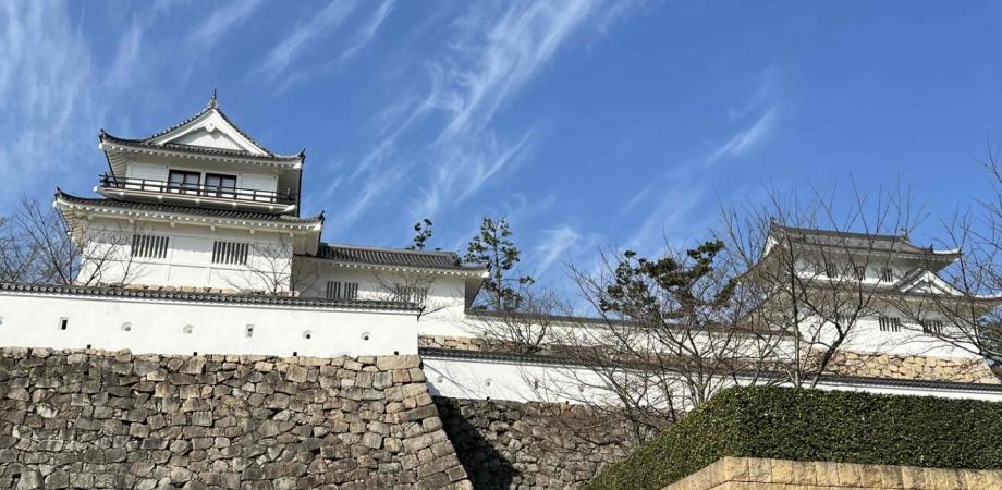 第17回 全国看護管理・教育・地域ケアシステム学会学術大会 #2 | Peatix