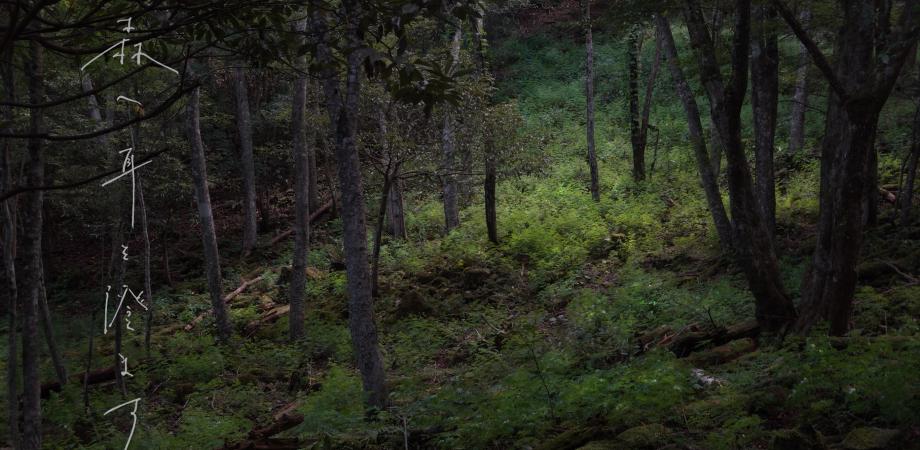 六月八日 event 2024 | Peatix