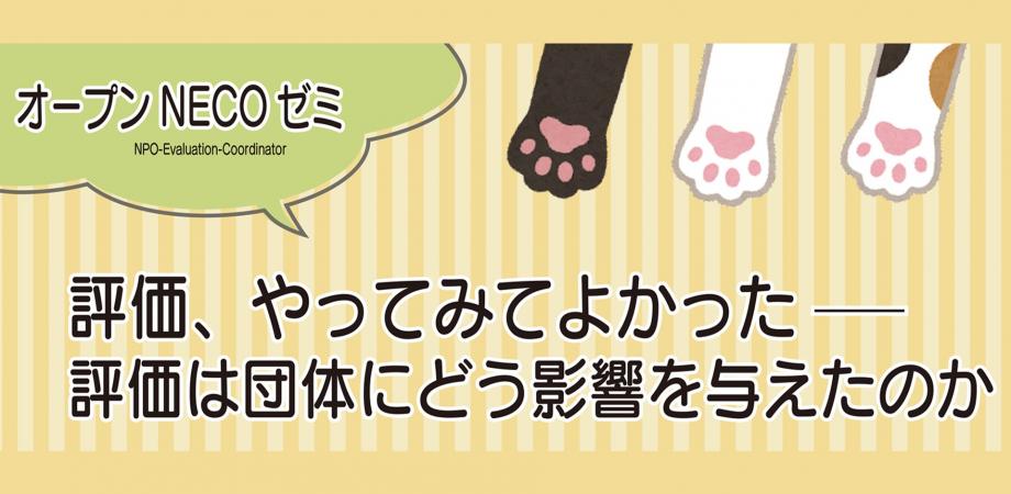 評価、やってみてよかった－評価は団体にどう影響を与えたのか | Peatix