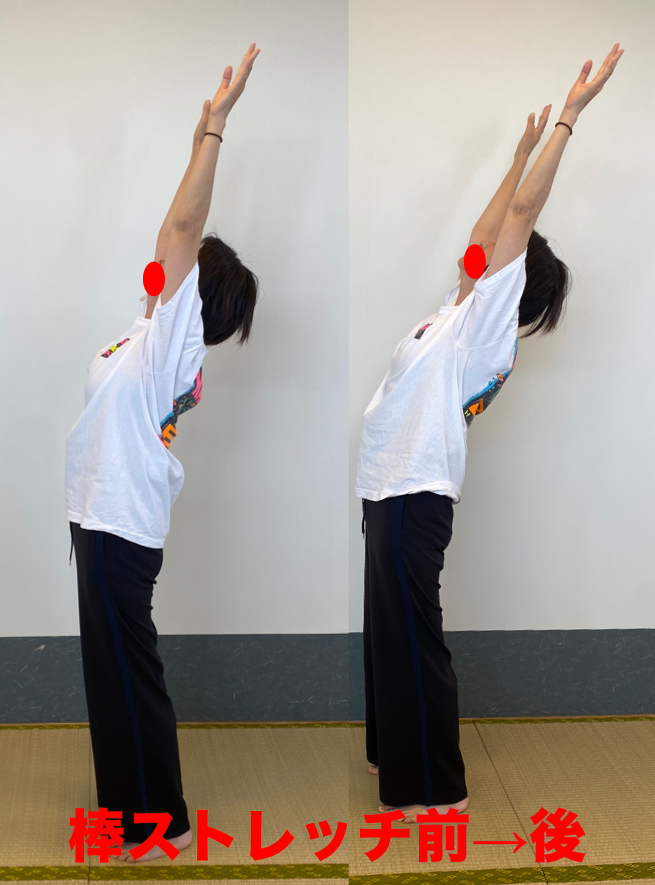 【身体のカタイ人必見！】春の棒ストレッチ教室 in世田谷 | Peatix