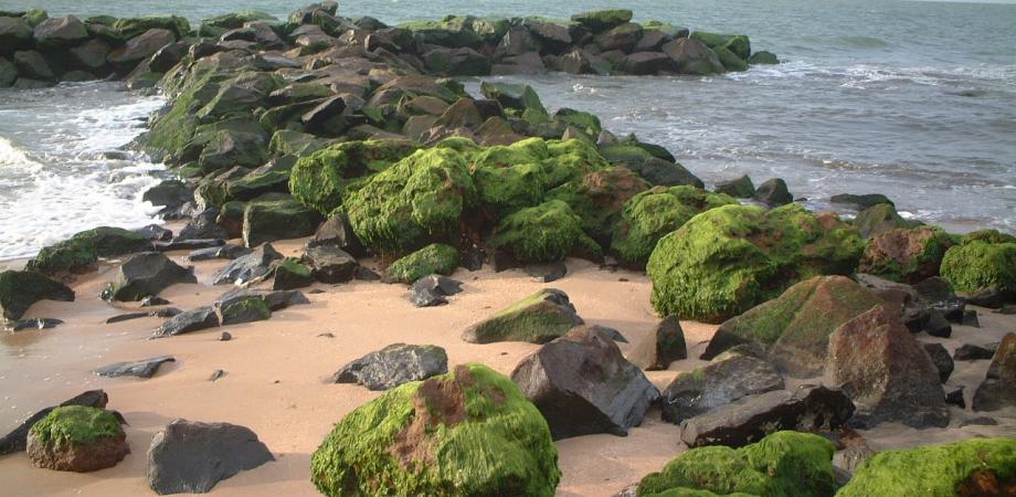 KIkuyo ∞ Irune #34 | Peatix