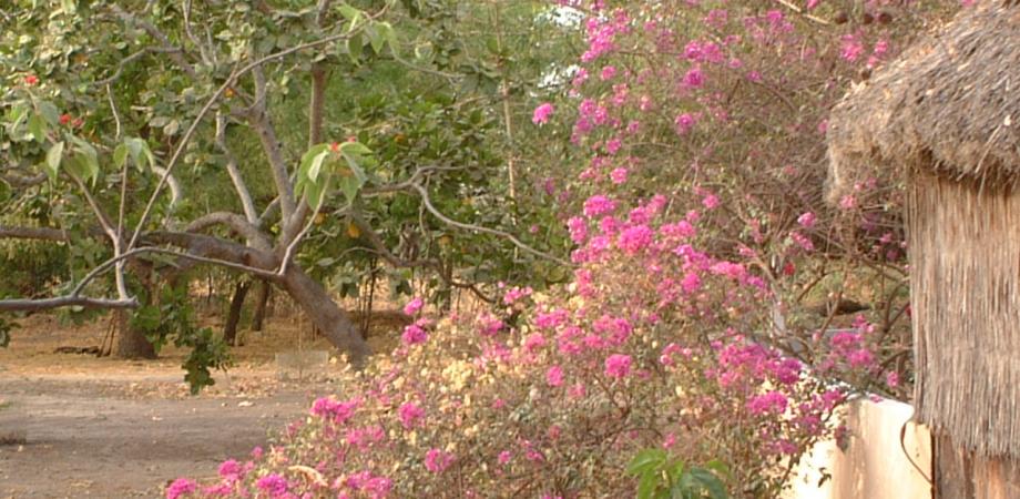 KIkuyo ∞ Irune #33 | Peatix