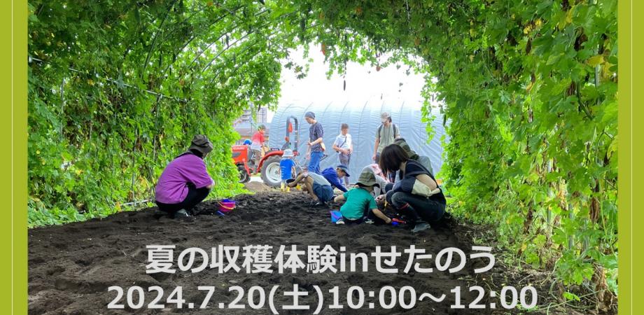 広い畑で季節の野菜を収穫してみよう！ （世田谷トラストまちづくり） | Peatix