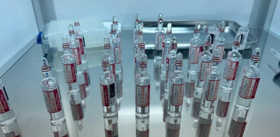 2024年 HIP研究会 講演会 | Peatix