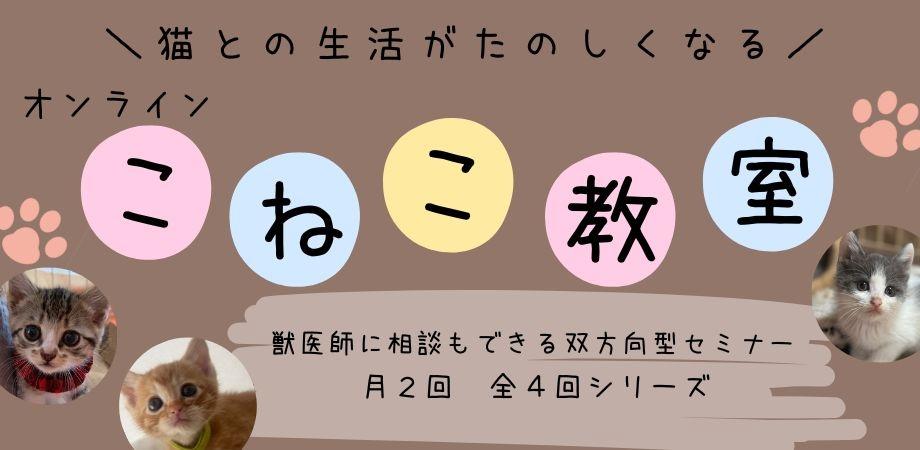 こねこ教室 | Peatix