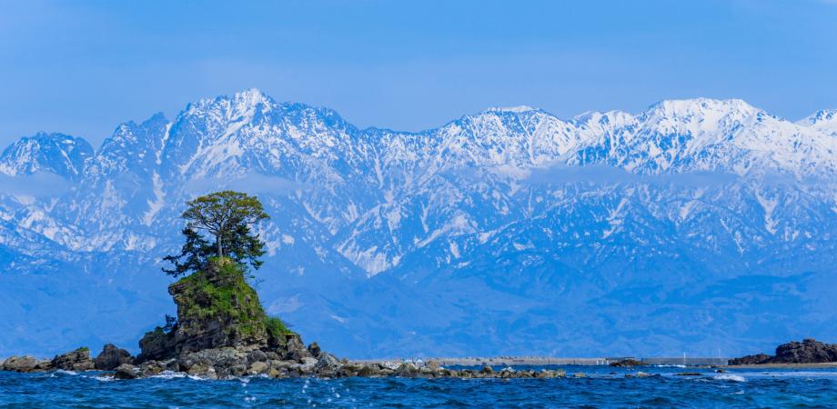 日本青年期精神療法学会第41回総会 | Peatix