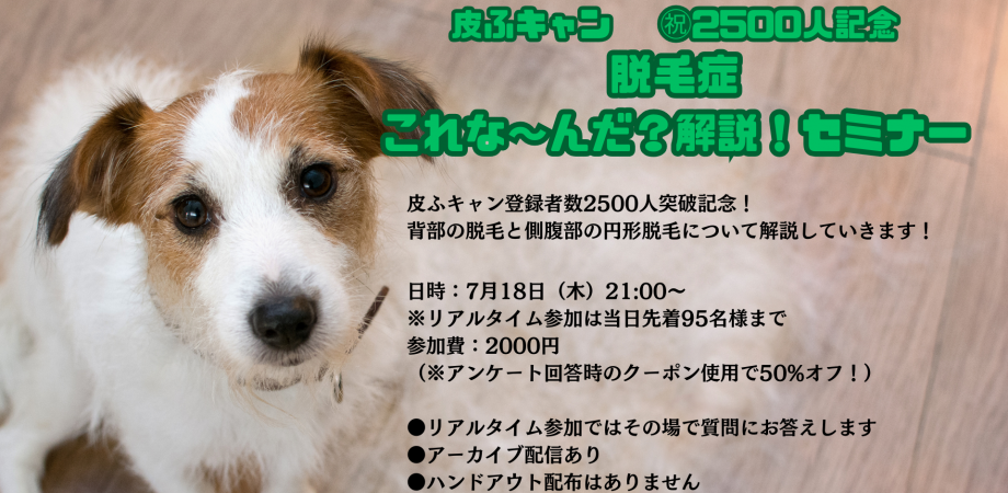 登録者数2500人記念【これなーんだ？解説セミナー】 | Peatix