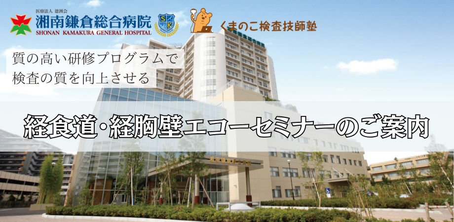 経食道・経胸壁エコーハンズオンセミナー【2024年7月13日(土)】 | Peatix