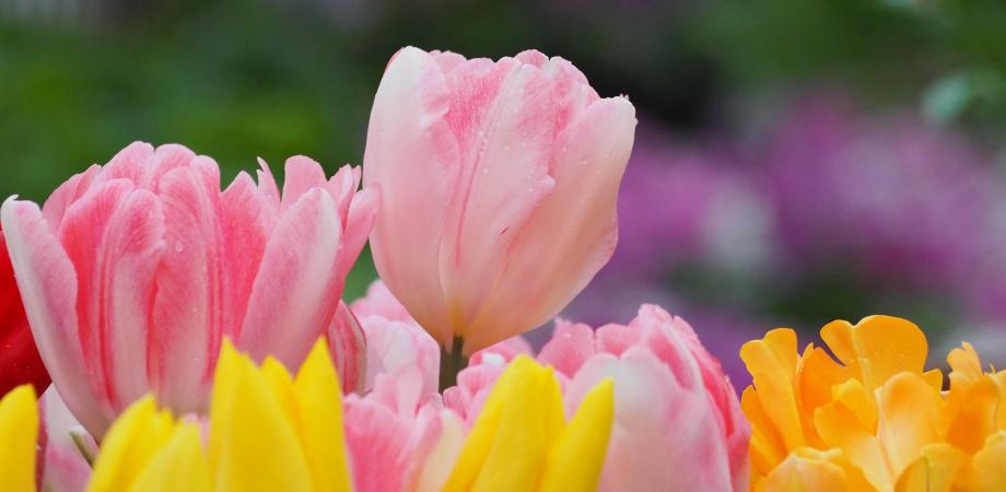 心が軽くなるコミュニケーション講座 ココカル！ #45(前編) | Peatix