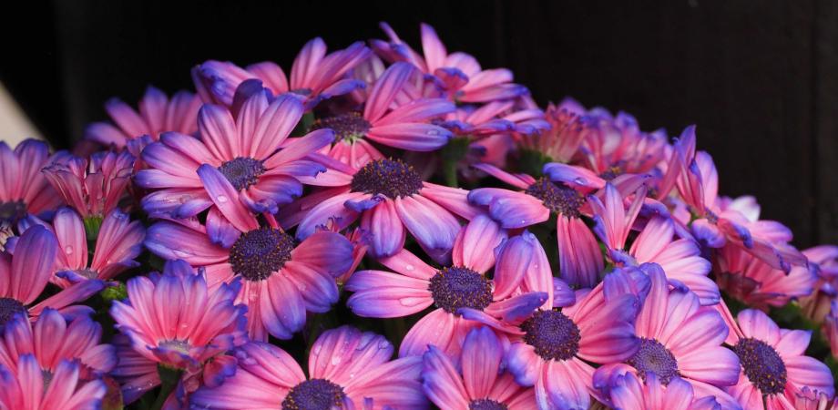 「これからの過ごし方」実践者養成講座 #18 現地会場/オンライン | Peatix