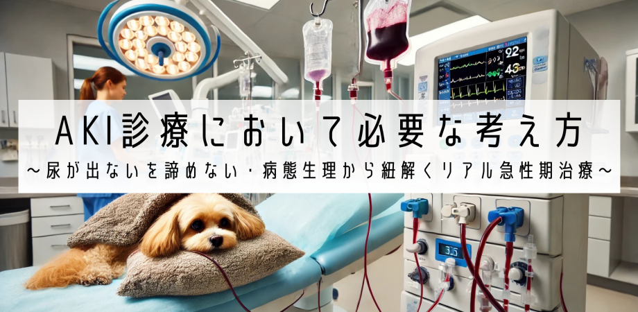 TRVA SEMINAR -Face to Face-【第13回】AKI診療において必要な考え方～尿が出ないを諦めない・病態生理から紐解くリアル急性期治療～ | Peatix