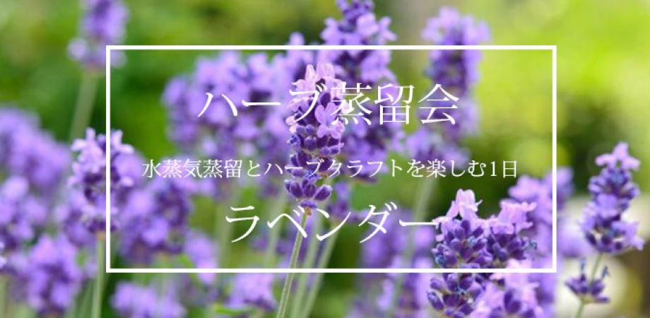 ハーブ蒸留会「ラベンダー」 #7 | Peatix