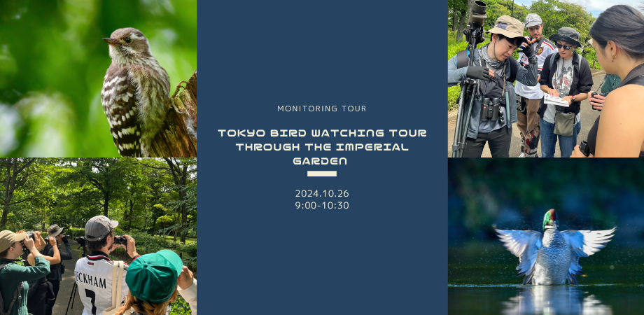 Tokyo Bird Watching Tour through the Imperial Garden 2024.10.26 | Peatix