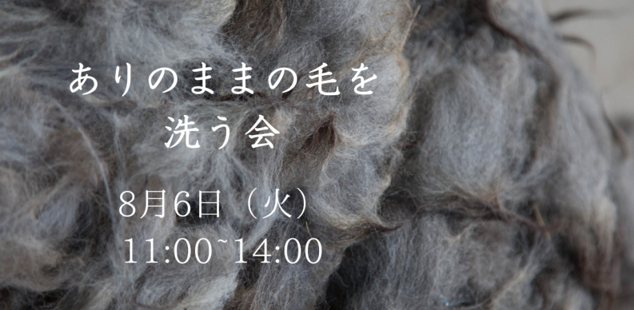 アルパカの毛を洗う会 #2 SHIBAURA HOUSE （8/6開催） | Peatix