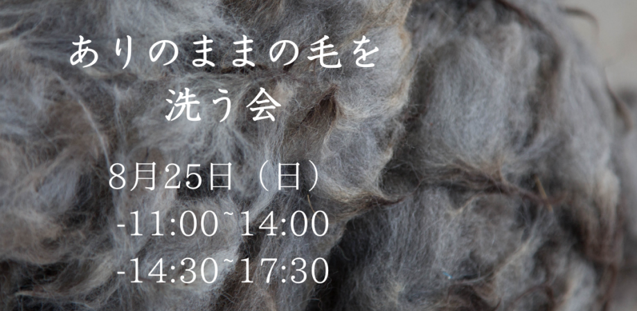 アルパカの毛を洗う会 #3 KITEN （8/25開催） | Peatix