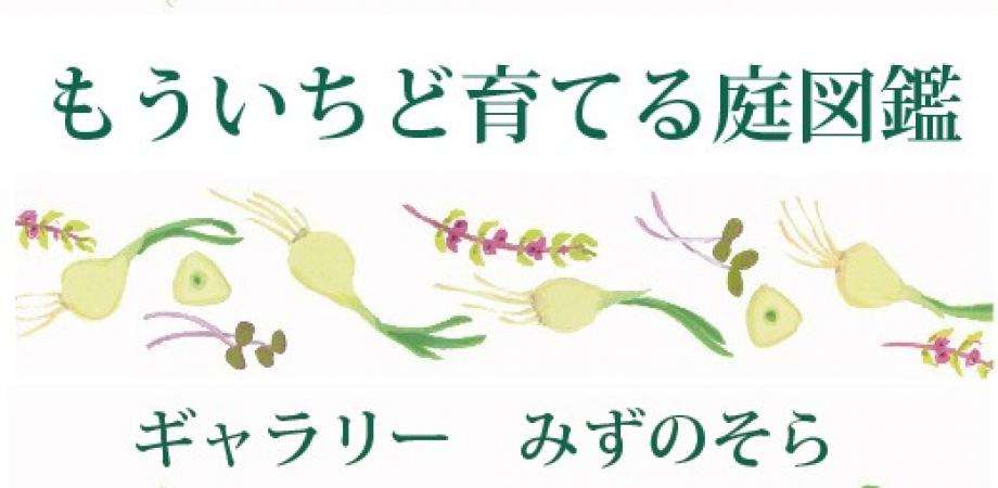 みずのそらのブドウを育てよう 9/7 13時の回 | Peatix