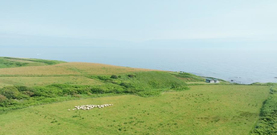 焼尻島と粟島のドローン映像上映会 [RAVEN VISION] | Peatix