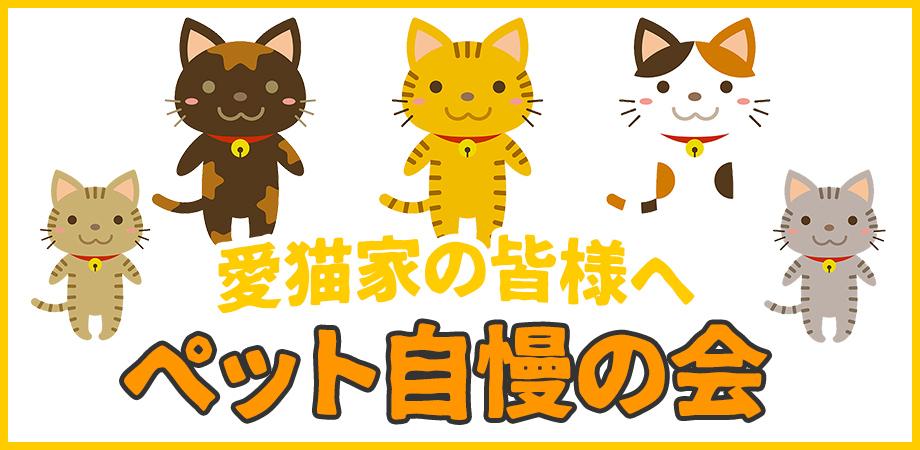＜愛猫家の皆様へ＞ペット自慢の会 | Peatix