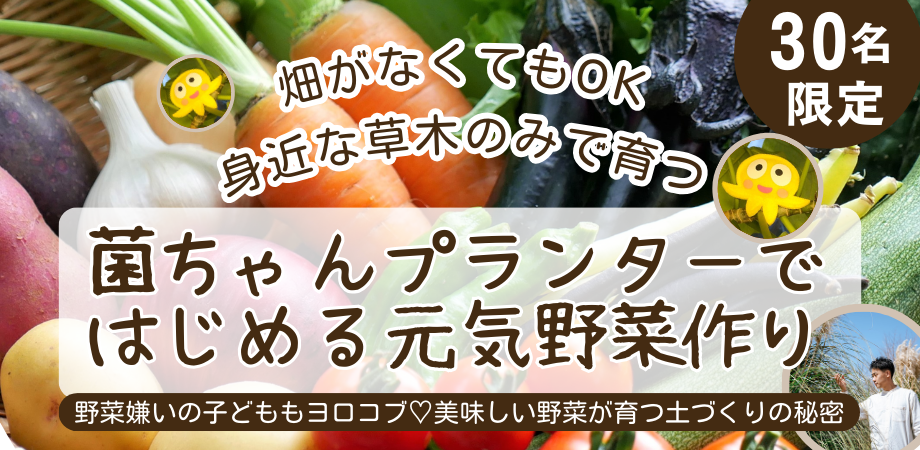 【12月1日 世田谷/妙法寺】菌ちゃんプランターではじめる元気野菜作り～美味しい野菜が育つ土づくりの秘密～ | Peatix