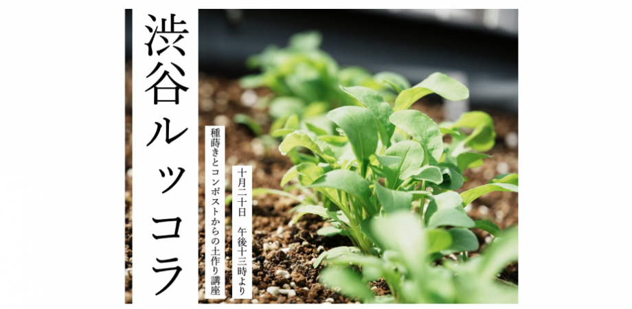 『渋谷ルッコラ』のたねまきWSとコンポストからの土作りについての講座 | Peatix