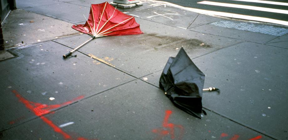 DOVER STREET MARKET GINZA - BIBLIOTHECA | Peatix